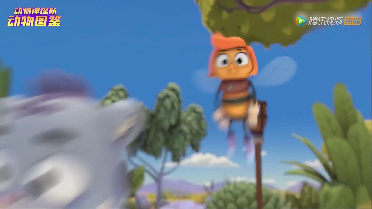 参与互动学习野生动物知识_腾讯视频