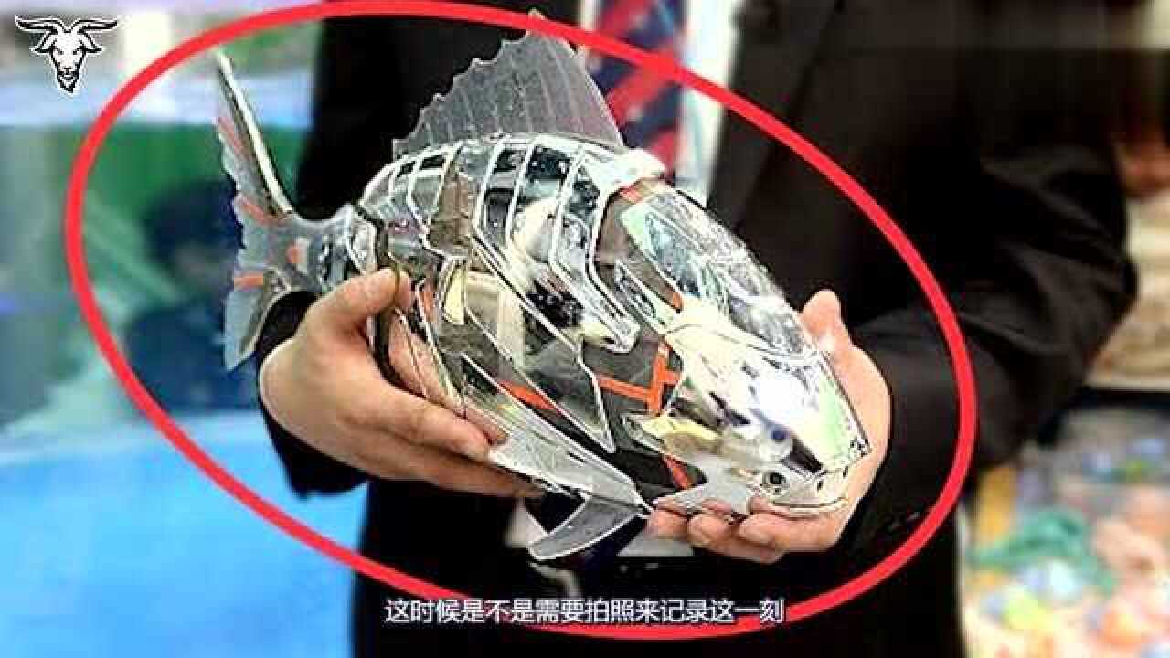 世界上首款仿生鱼形机器人，能在水下进行拍照，彻底解放你的双手_高清1080P在线观看平台_腾讯视频