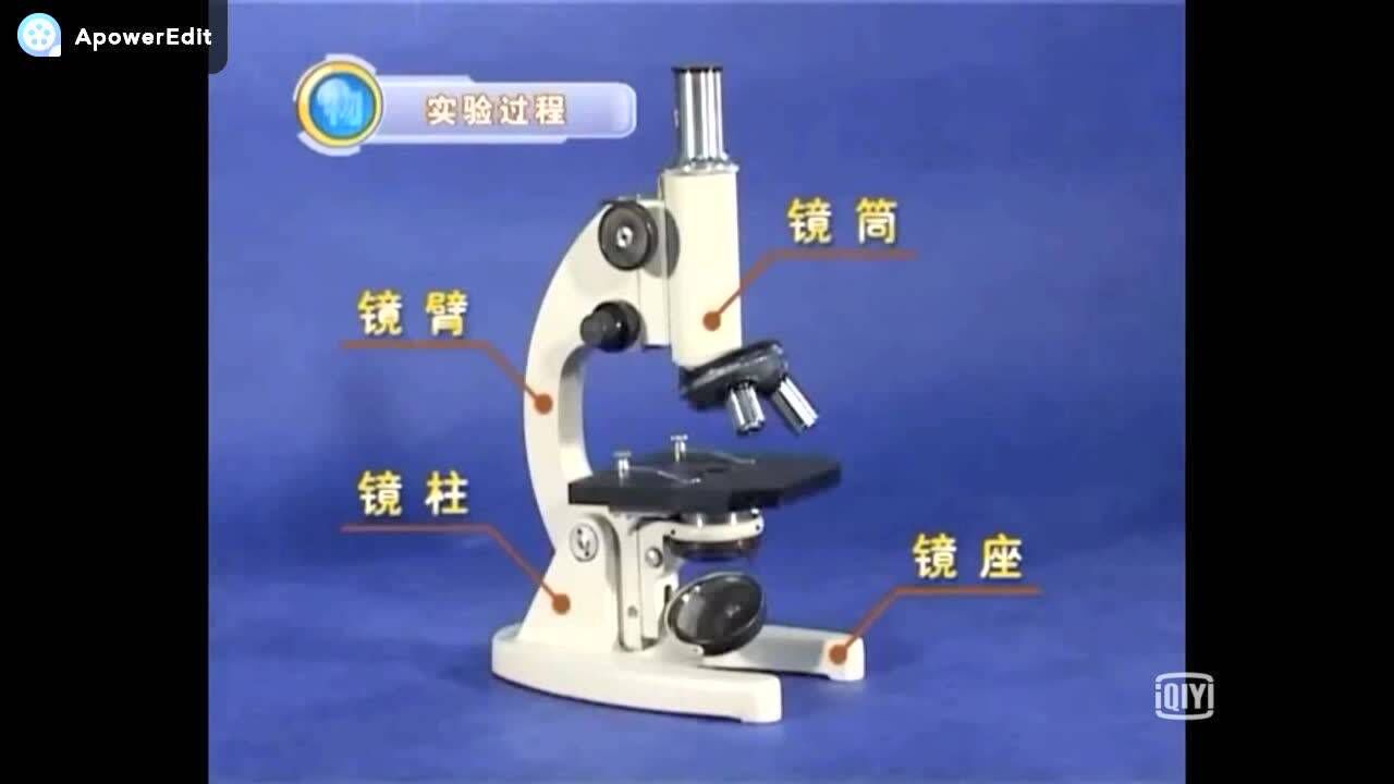 显微镜各部分结构及作用_腾讯视频