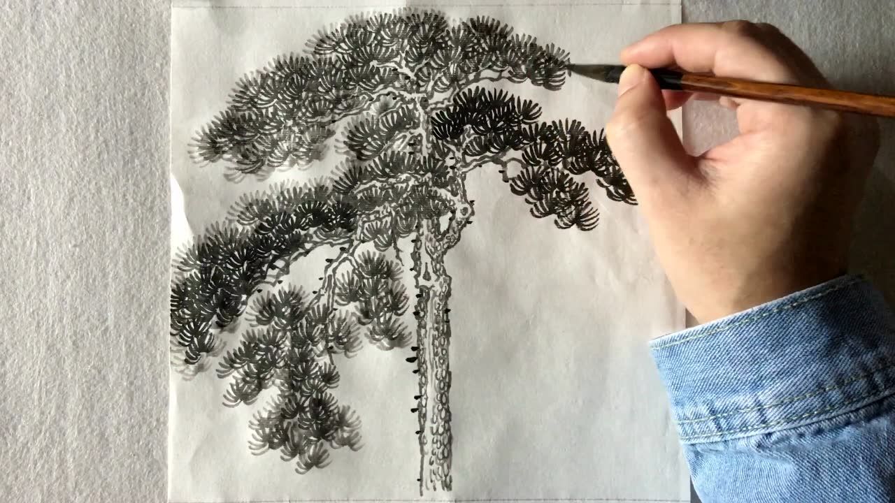 国画入门教学：松树画法步骤示范_腾讯视频