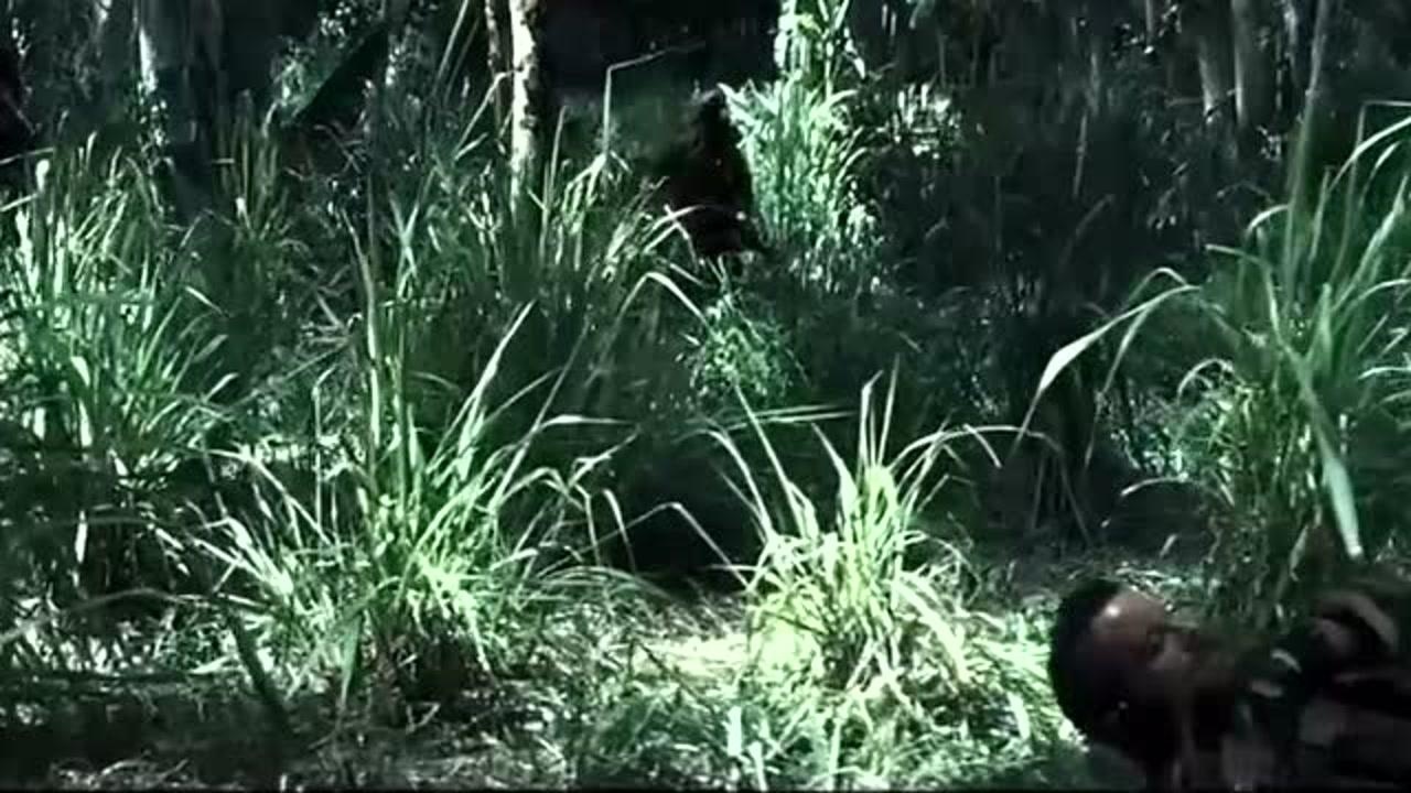 丛林激战战争猛片，真枪实弹全程激战，够刺激，真心好看_高清1080P在线观看平台_腾讯视频