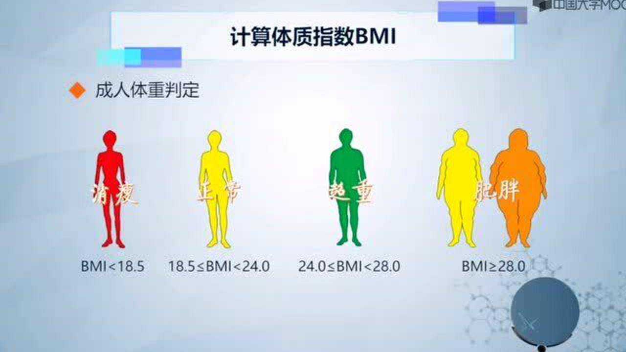 秒懂，如何计算体质指数BMI，用BMI判断肥胖_高清1080P在线观看平台_腾讯视频