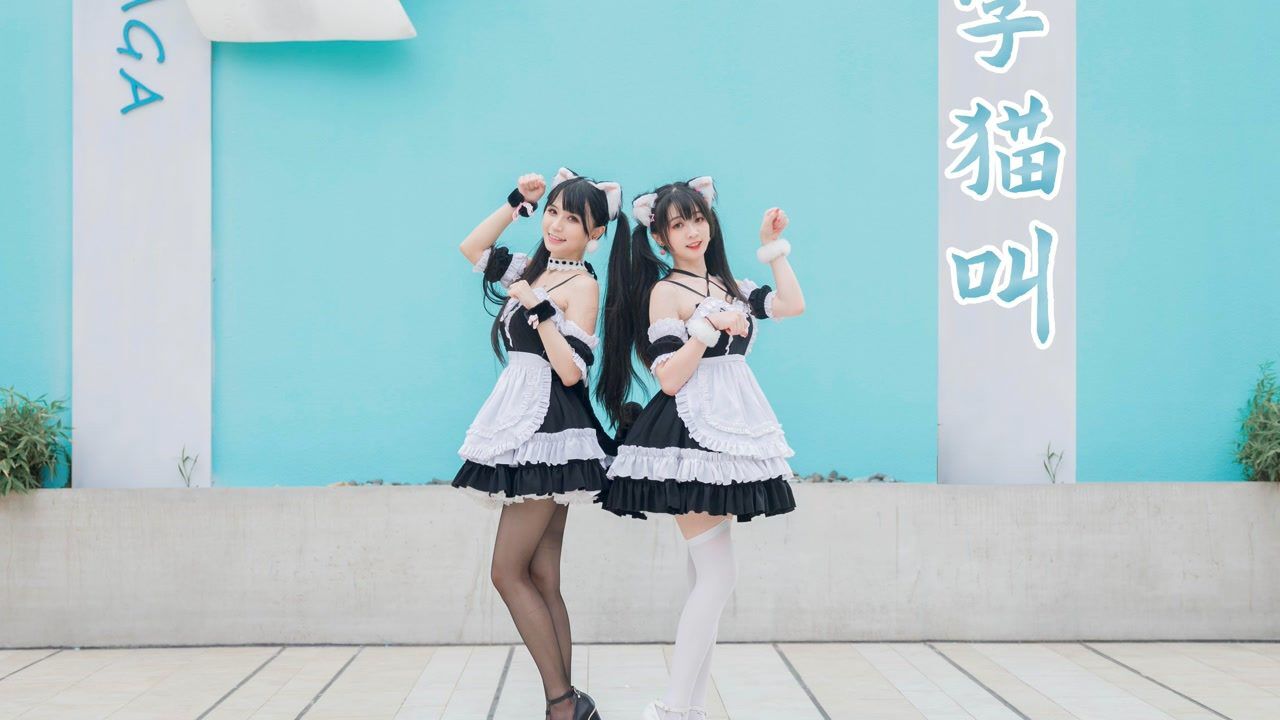 【卿斗×楚鸢】 ️学猫叫 ´ฅω ฅ` 想要变成你的猫赖在你怀里睡着 高清1080p在线观看平台 腾讯视频