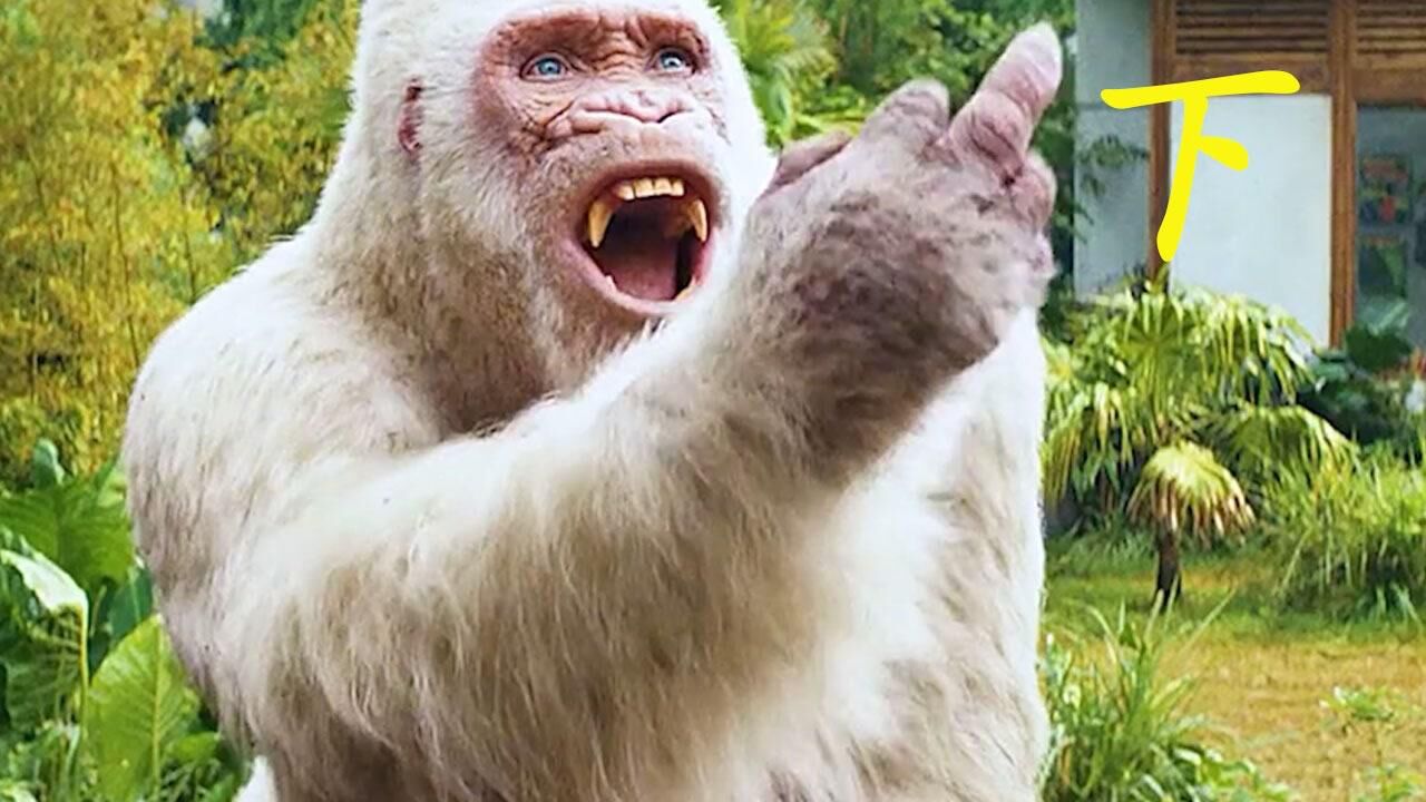 原来任何动物和人类呆久了，都会通人性_高清1080P在线观看平台_腾讯视频