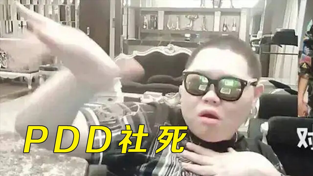 PDD看早期采访直言太羞耻，结果转头又点开了自己的鬼畜视频_高清1080P在线观看平台_腾讯视频