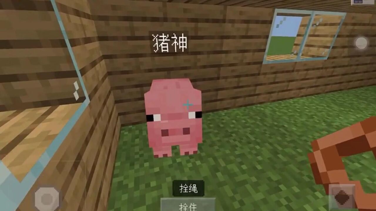 我的世界：猪神的家请看到最后_腾讯视频
