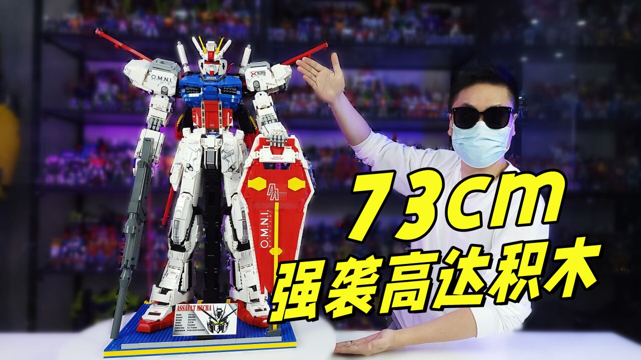 爆肝40小时！积木拼出73cm强袭高达？太镇宅啦！【刘哥模玩】_高清1080P在线观看平台_腾讯视频