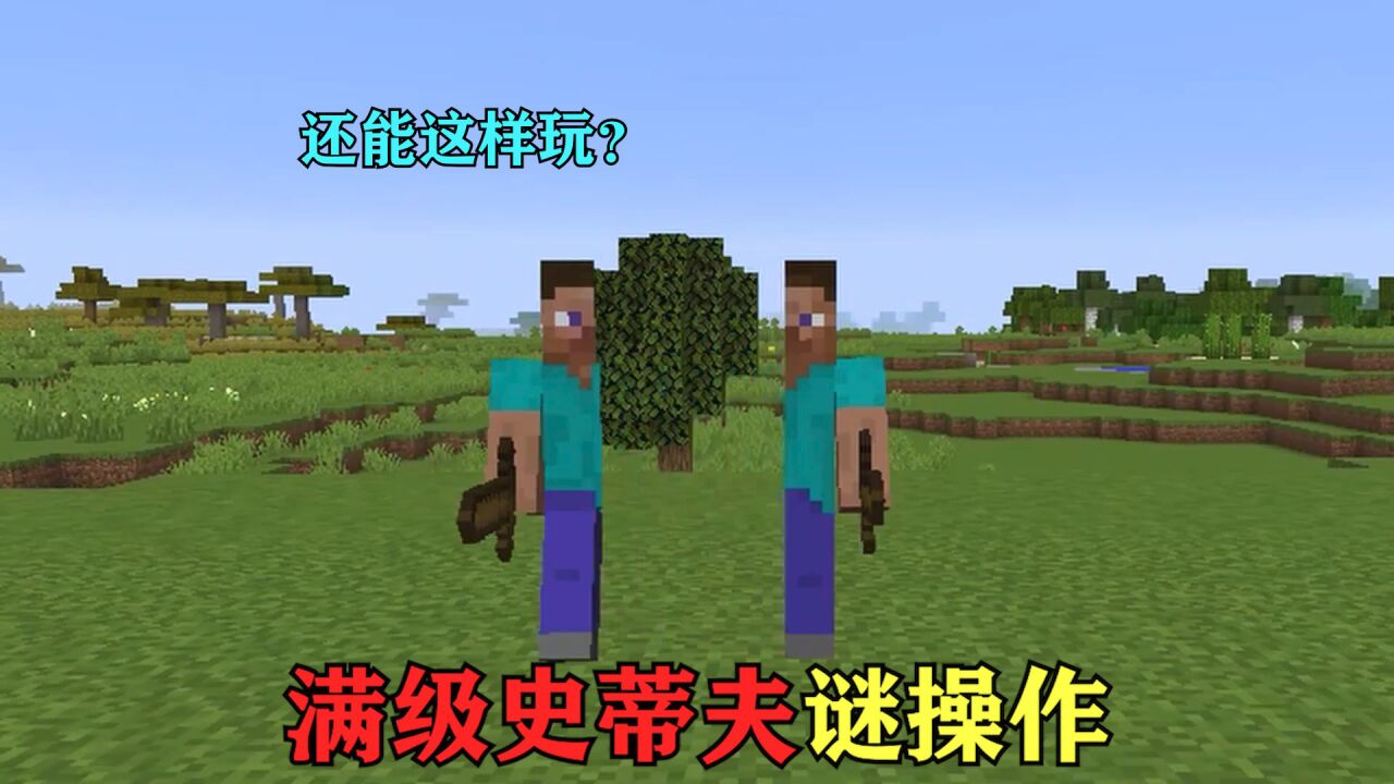 我的世界：满级史蒂夫的离谱操作！_腾讯视频