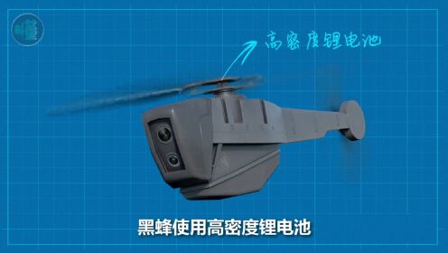 第145集昂贵的小玩意'黑蜂'无人机：一套设备顶一套房侦察神器世界最小_高清1080P在线观看平台_腾讯视频