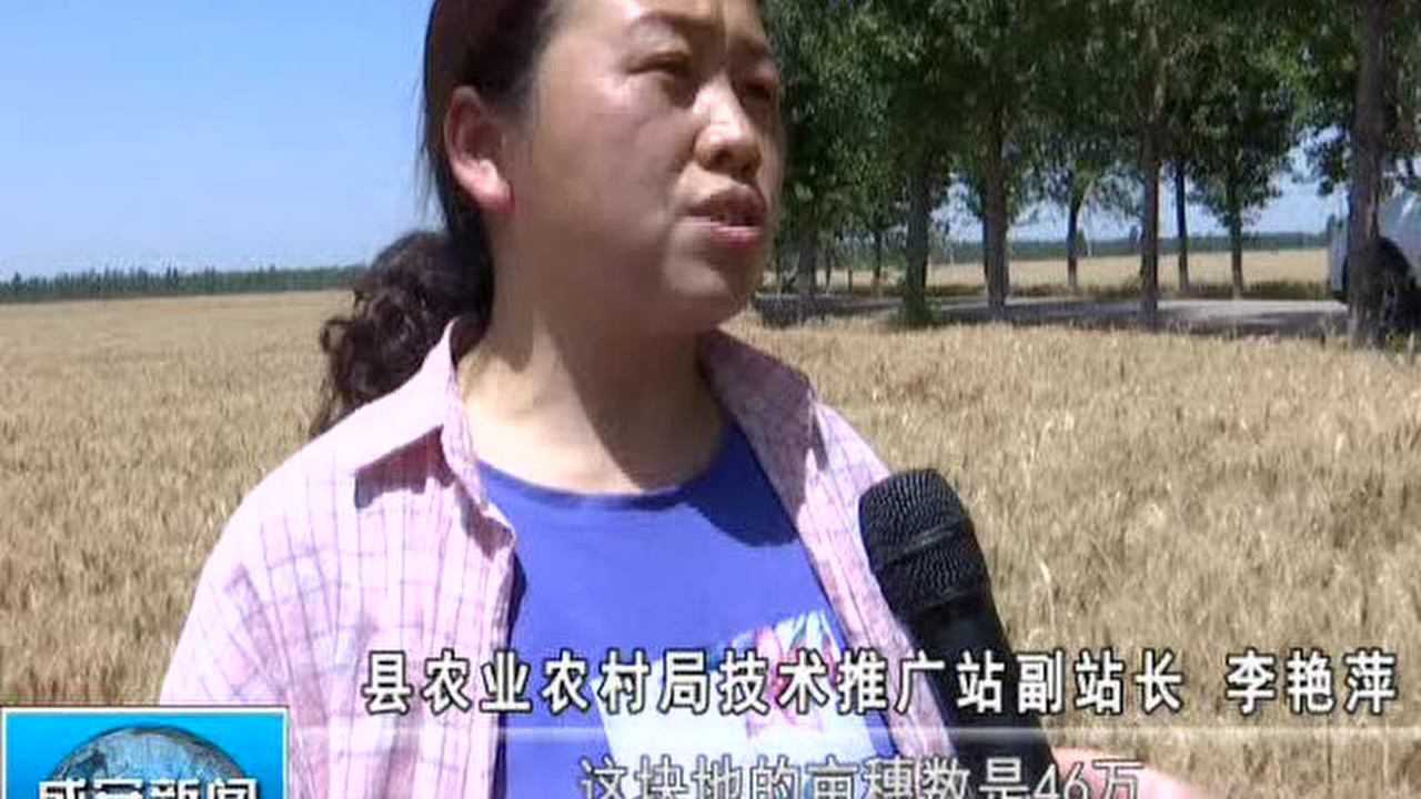 成安新闻2020-6-4_高清1080P在线观看平台_腾讯视频