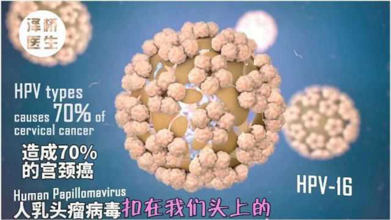 HPV自述：我是怎样一步步变成大BOSS宫颈癌的？一个视频搞清楚！_高清1080P在线观看平台_腾讯视频