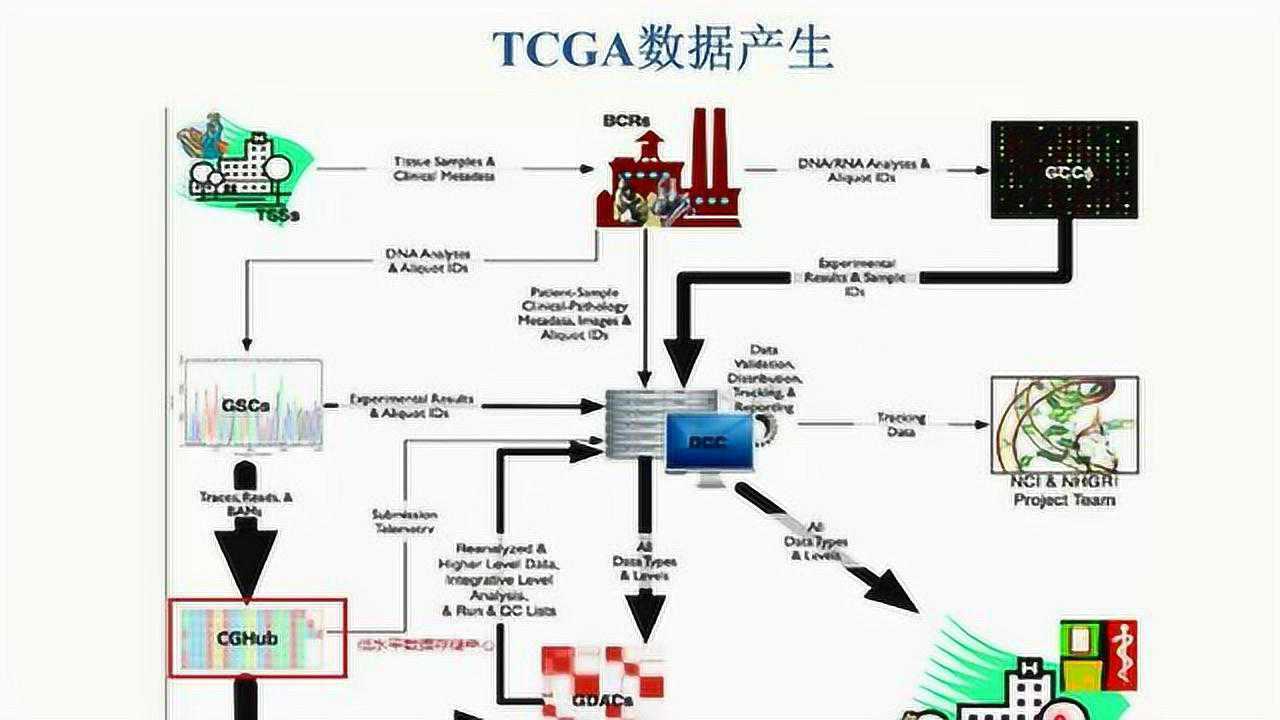 _高清1080P在线观看平台_腾讯视频
