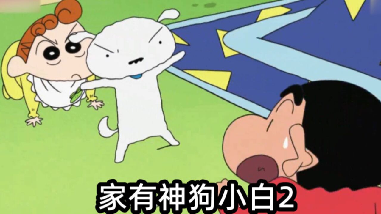 蜡笔小新:谁不想拥有小白这样的狗狗呢?简直就是家里的顶梁柱 高清1080p在线观看平台 腾讯视频