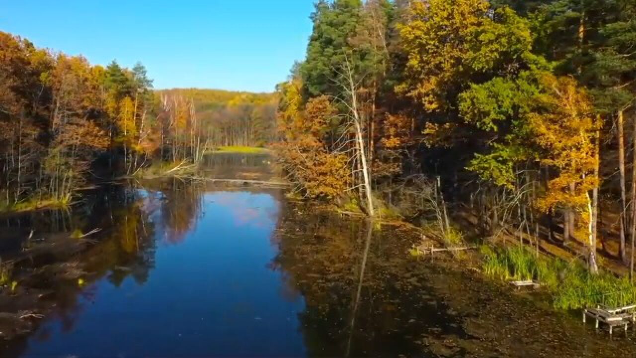 周杰伦-七里香伴奏_高清1080P在线观看平台_腾讯视频