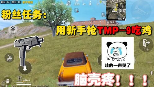 粉丝任务：用新手枪TMP-9吃鸡，这像是能拿第一的武器吗这！_高清1080P在线观看平台_腾讯视频