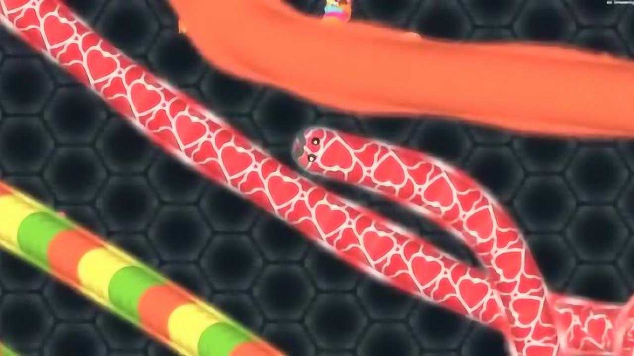 蛇蛇大作战：看小蛇如何在蛇王缝隙间穿梭自如，厉害了！_高清1080P在线观看平台_腾讯视频