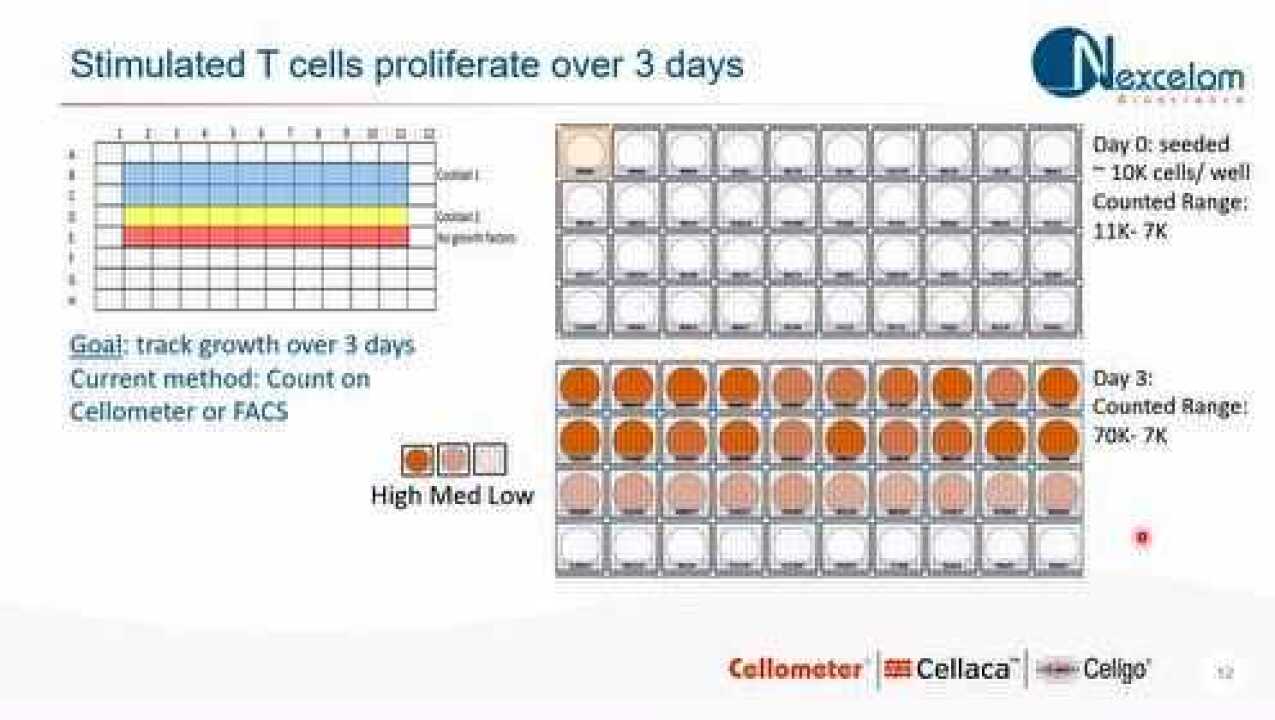 Celigo高通量成像技术在实体瘤细胞治疗中的应用_腾讯视频