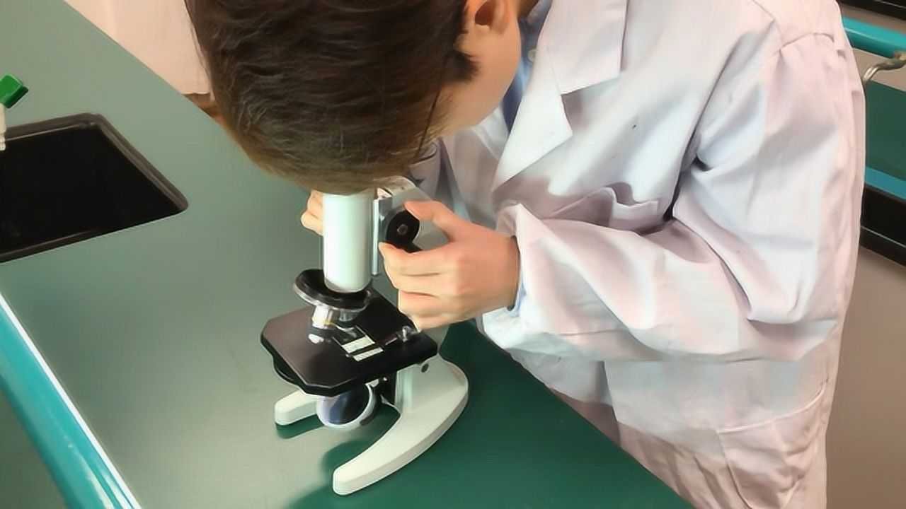 用显微镜观察人体神经组织永久装片显微镜的使用_高清1080P在线观看平台_腾讯视频