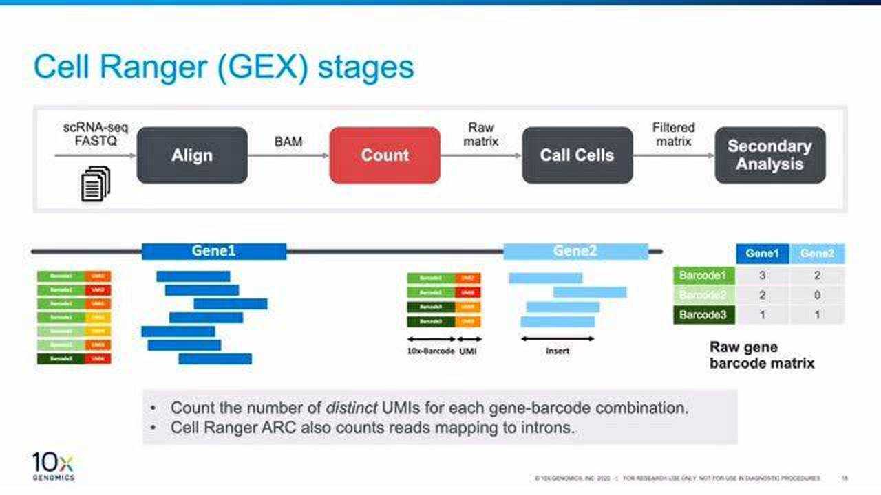 单细胞多组学ATAC+GEX方案：数据分析_高清1080P在线观看平台_腾讯视频