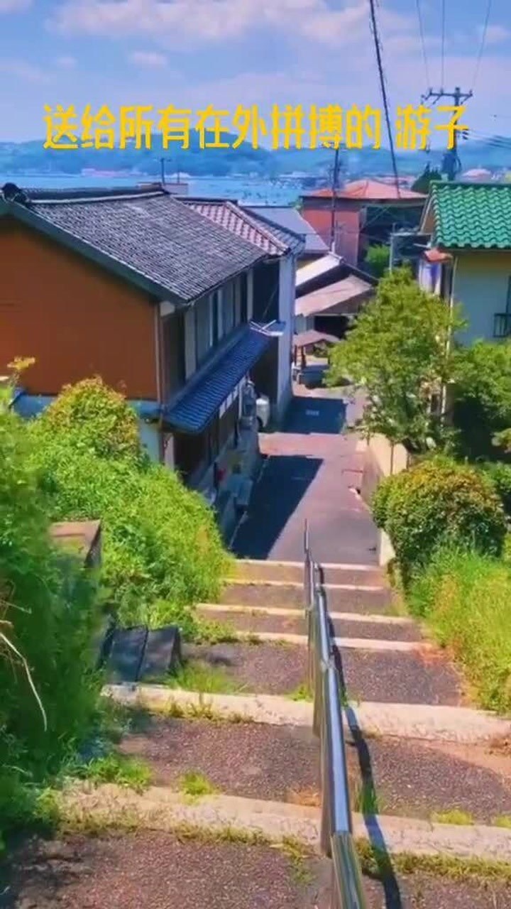 每逢佳节备思亲送给所有在外拼搏奋斗的游子，端午节安康_高清1080P在线观看平台_腾讯视频