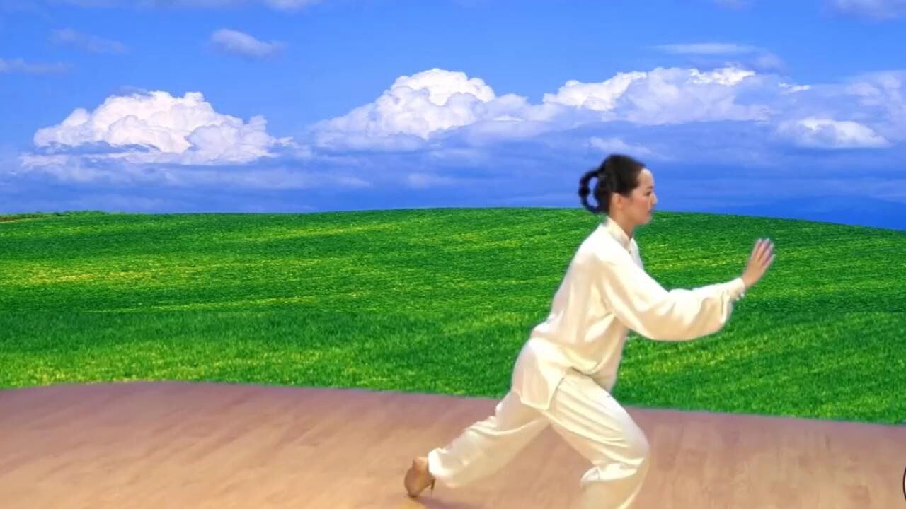 24式太极拳背面演练吴阿敏音乐《清夜弹琴》_高清1080P在线观看平台_腾讯视频