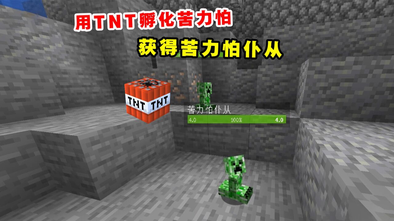 我的世界Him传说49：用TNT孵化苦力怕，获得苦力怕仆从当小弟_腾讯视频