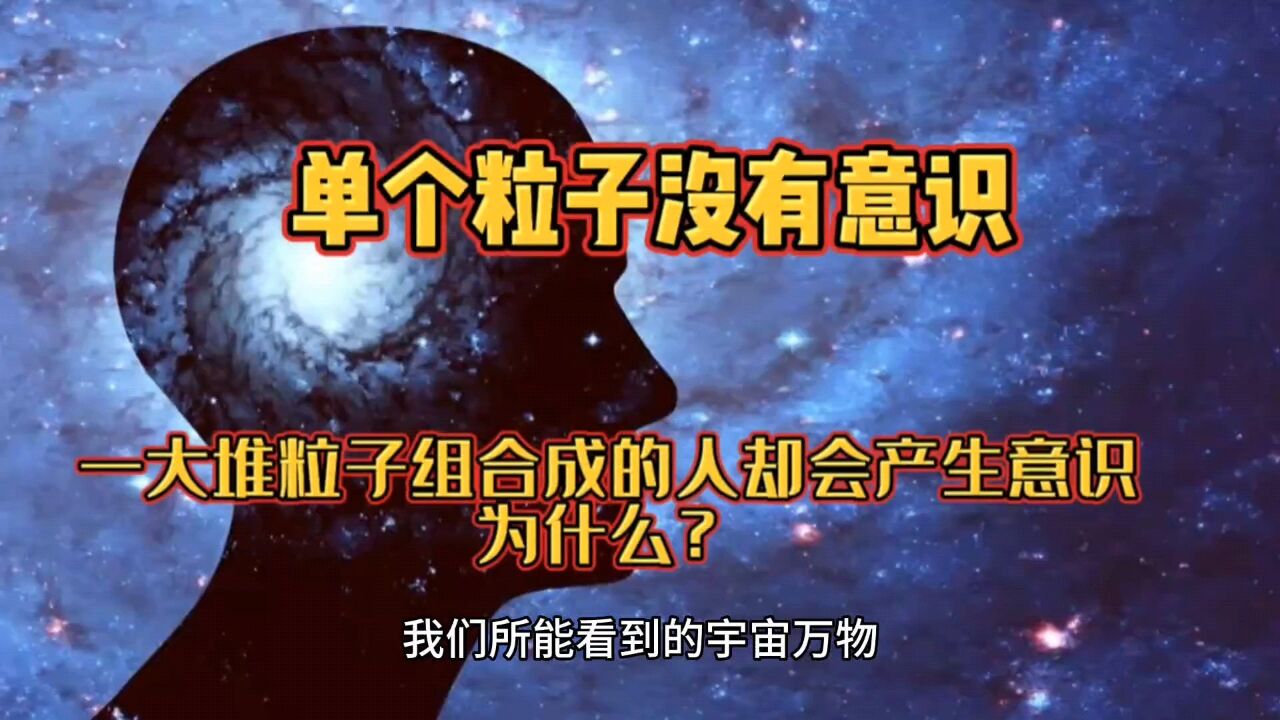 单个粒子没有意识，一大堆粒子组合成的人却会产生意识，为什么？_高清1080P在线观看平台_腾讯视频