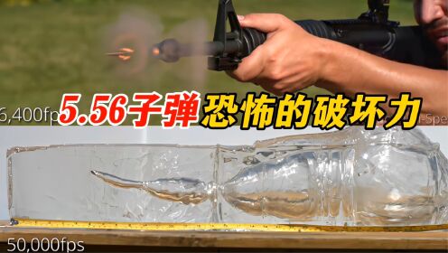 5.56子弹的威力有多大？慢镜头揭秘其中的真相_高清1080P在线观看平台_腾讯视频