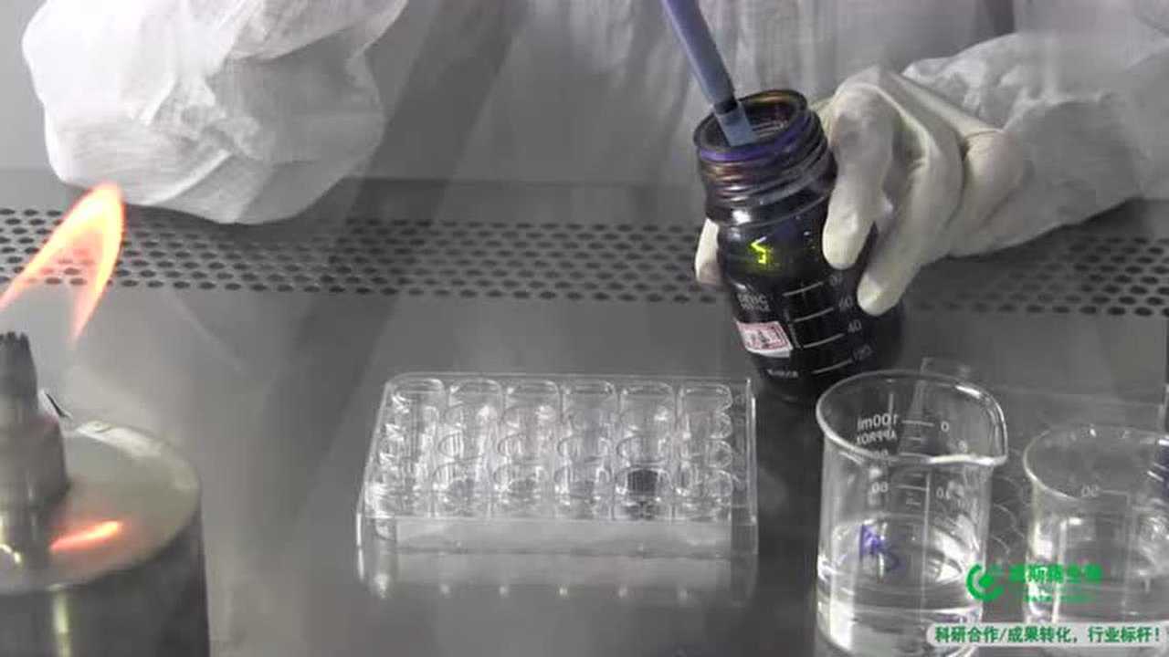 transwell细胞侵袭_腾讯视频