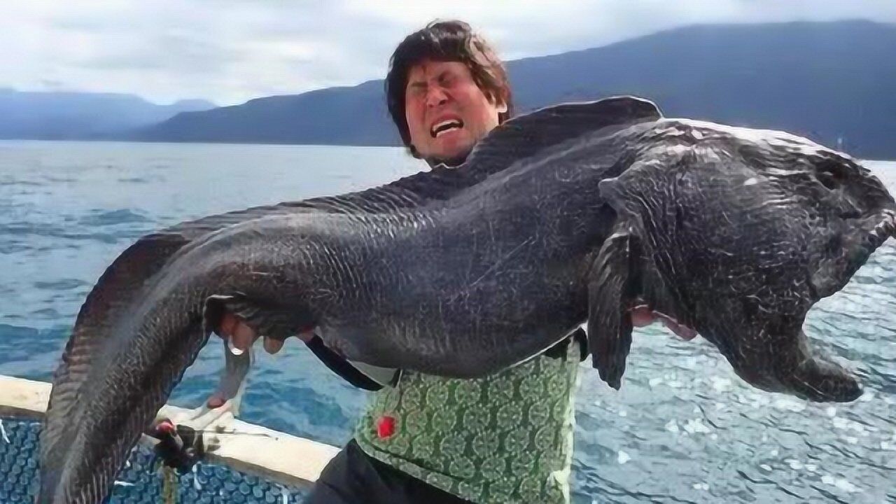 日本福岛核泄漏后，“变异的动物”成什么样了？场景太可怕！_高清1080P在线观看平台_腾讯视频