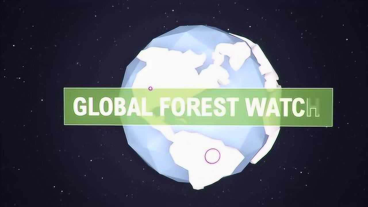 世界资源研究所WRI全球森林观察GlobalForestWatch介绍_高清1080P在线观看平台_腾讯视频