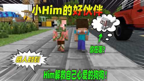 我的世界：Him有了新伙伴，它会是谁呢？_高清1080P在线观看平台_腾讯视频