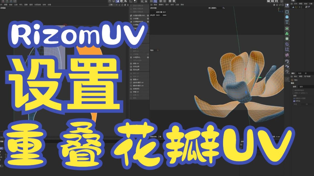 RizomUV 轻松解决花瓣纹理问题，展开花瓣 UV，轻松重叠！_腾讯视频