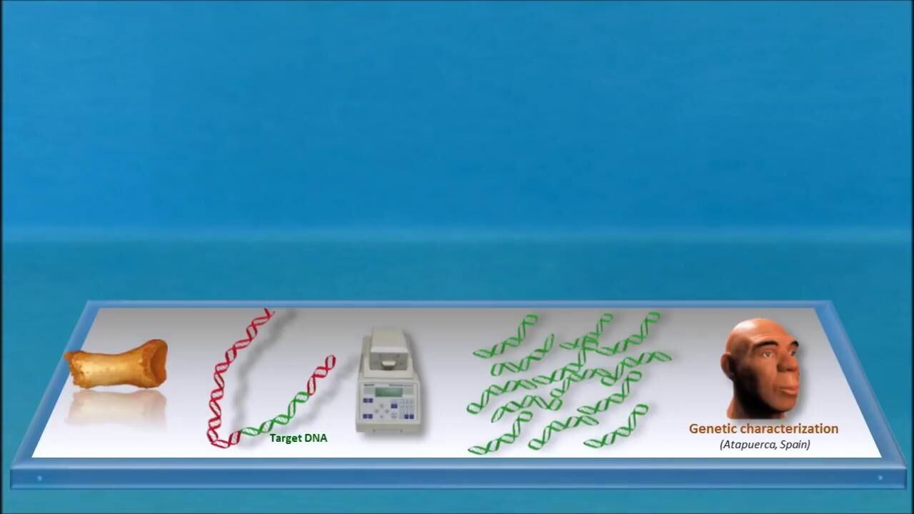 qPCR动画示意-转载_高清1080P在线观看平台_腾讯视频