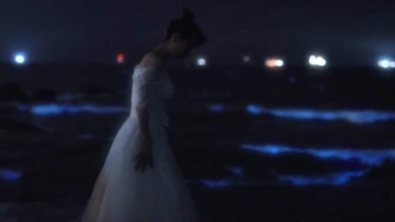 一定要这样吗？可是我还没来得及和你一起看过海啊！#海的悲鸣#最后一次记录清澈的海_高清1080P在线观看平台_腾讯视频