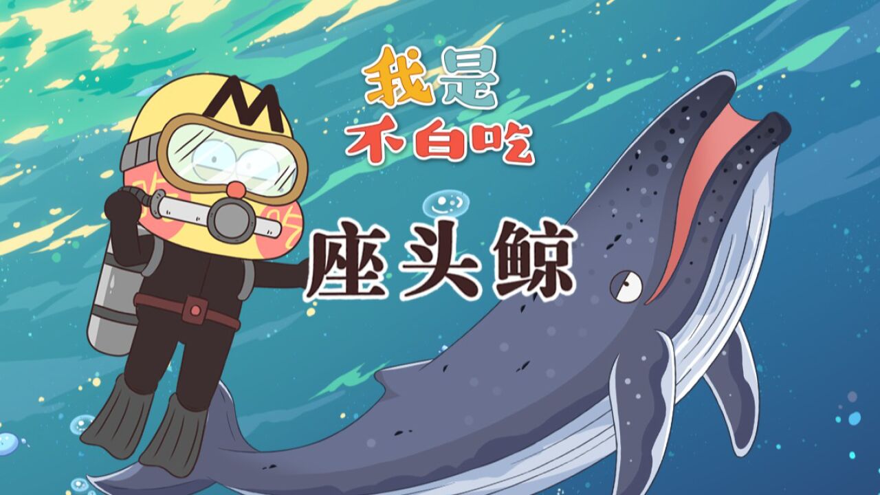 大块头有热心肠，海洋勇士座头鲸_高清1080P在线观看平台_腾讯视频