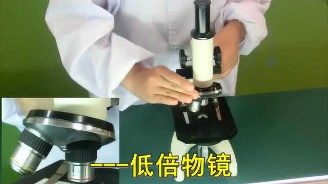练习使用显微镜微课，百看不厌，真是好老师！_腾讯视频