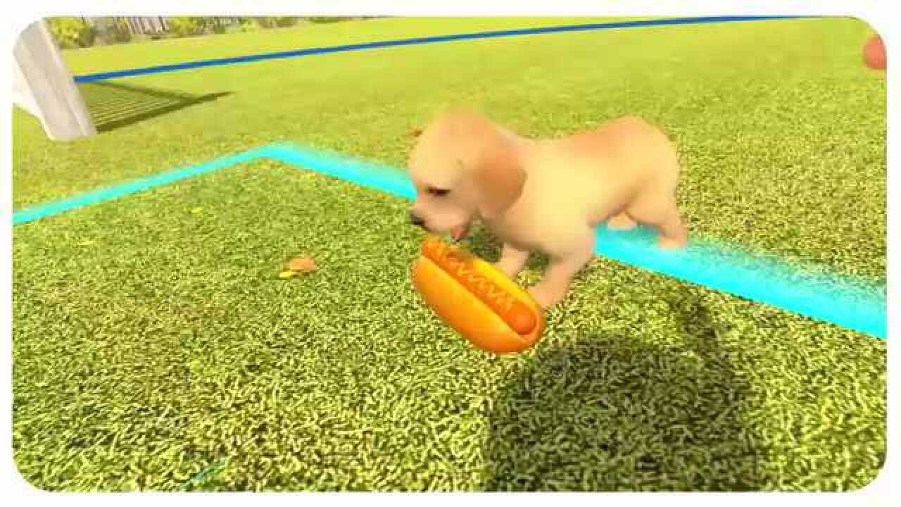 梦幻宠物VR(DreamPetsVR)_腾讯视频