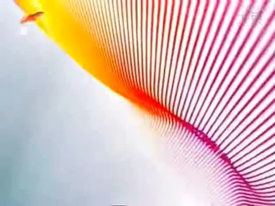 XJTV3_新疆哈语新闻频道_2015_1_6_22_29_央视新闻联播哈语版结束、广告、印度电视剧_高清1080P在线观看平台_腾讯视频