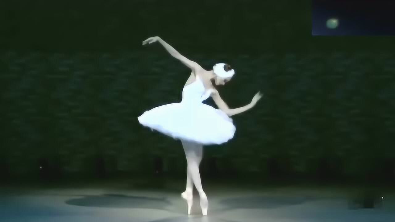 天鹅舞 舞蹈视频 这是我见过的最美的天鹅！_腾讯视频