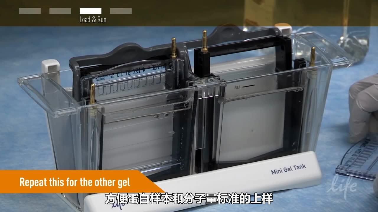 MiniGelTank操作演示_高清1080P在线观看平台_腾讯视频