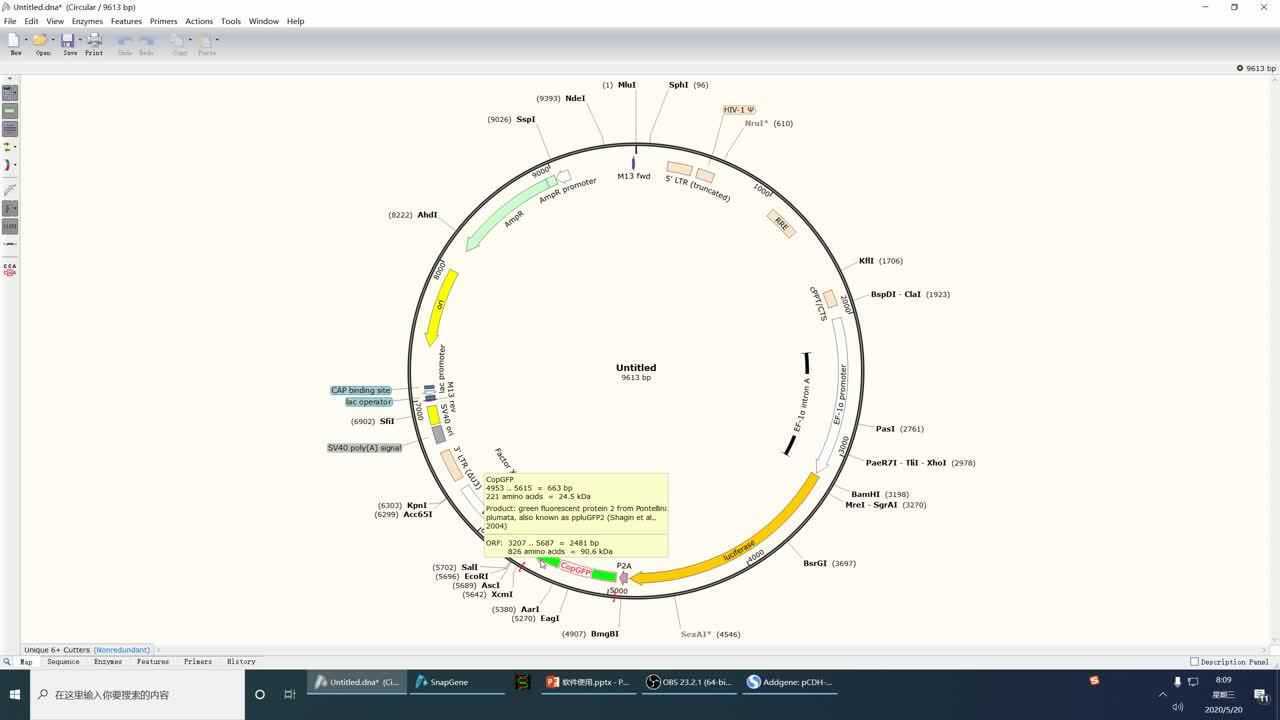 Snapgene软件使用_腾讯视频