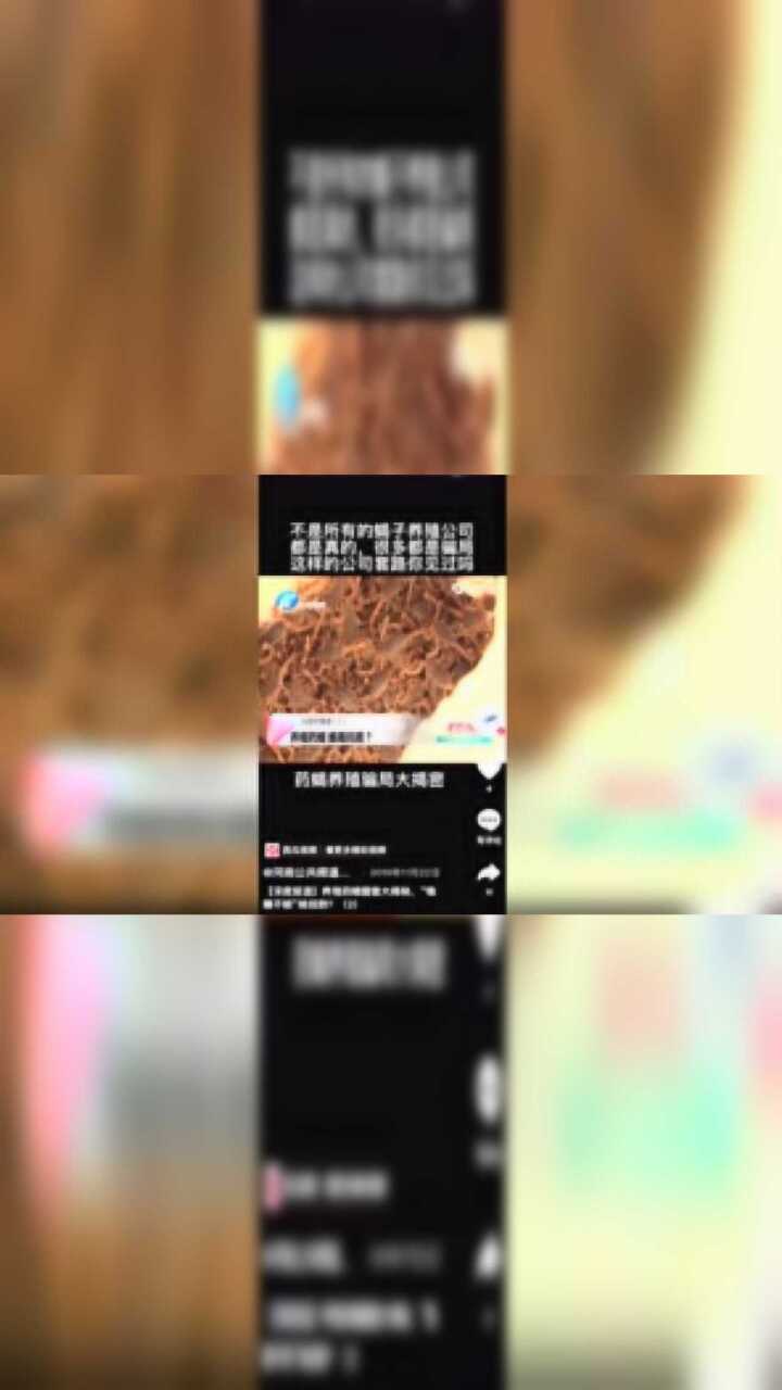 不是所有的蝎子养殖公司都是真的，很多都是骗局，养蝎有风险投资需谨慎。养蝎能挣钱技术是关键，没有技术谁养蝎子谁失败。_高清1080P在线观看平台 ...