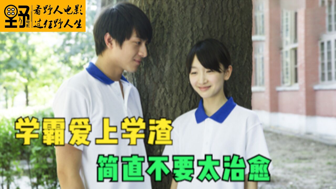学霸爱上学渣,简直不要太治愈高清1080p在线观看平台腾讯视频