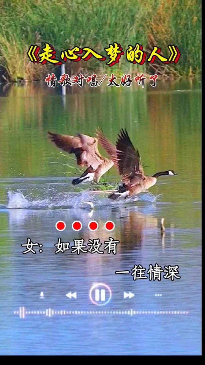 《走心入梦的人》一首好听的歌分享给大家好的音乐总能触动人的心灵高清1080p在线观看平台腾讯视频