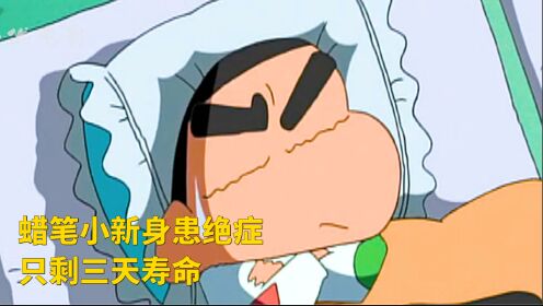 蜡笔小新得了绝症和大家挥泪告别。_高清1080P在线观看平台_腾讯视频