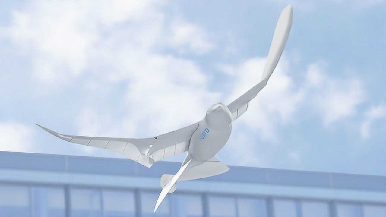 SmartBird超轻飞行仿生机器鸟，能像鸟一样飞翔_高清1080P在线观看平台_腾讯视频