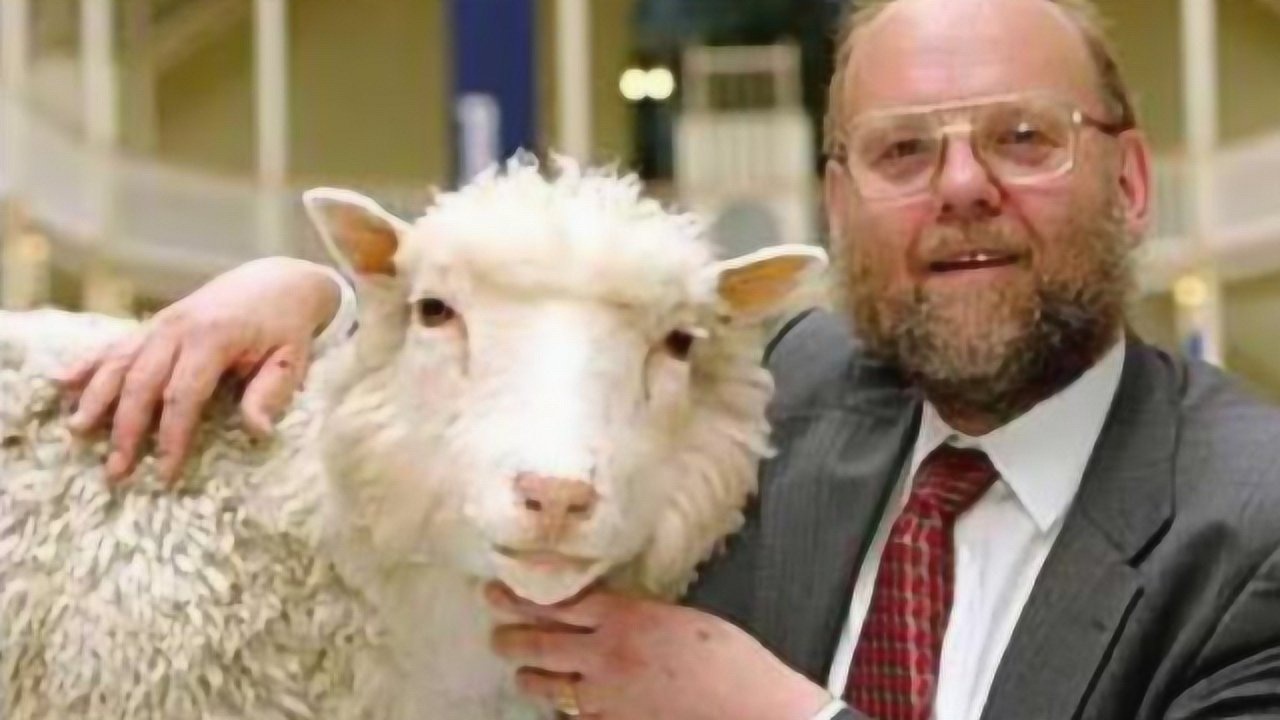 1996年克隆成功的“多莉”羊，现在怎样了？感觉好可怜_腾讯视频
