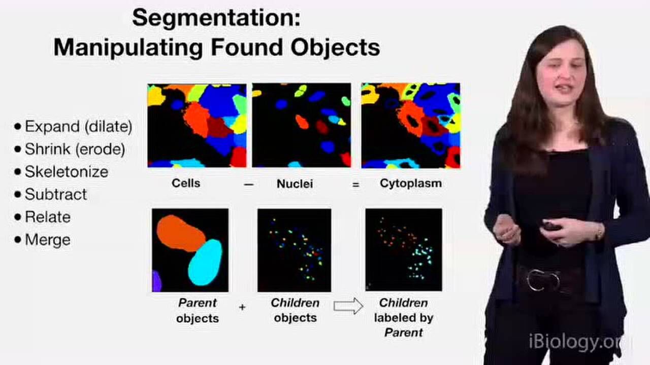 imagej使用方法_腾讯视频