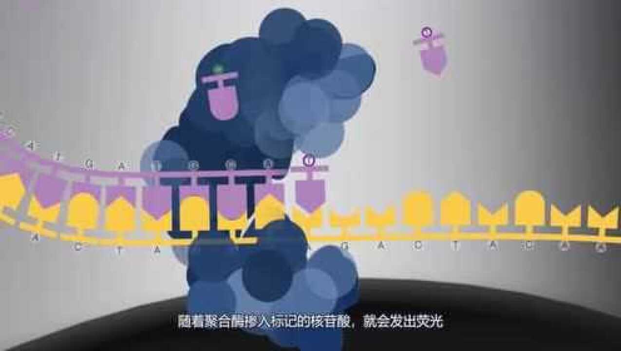 PacBio SMRT测序方法_腾讯视频